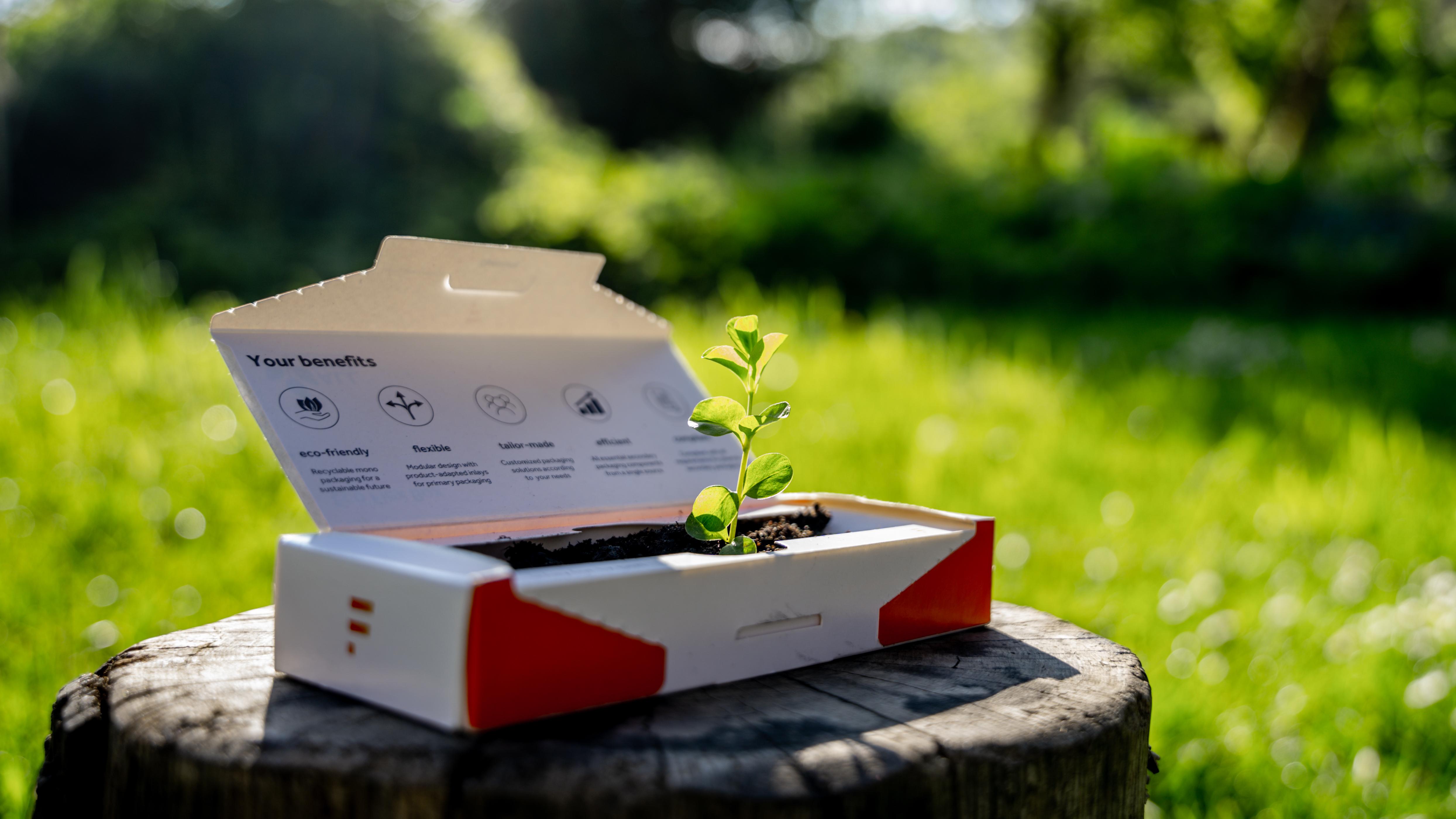 Sustainable Packaging | August Faller GmbH & Co. KG | CPHI Online